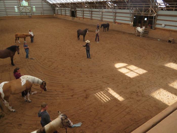 Riding Arenas & Stables - Vertical Building Solutions